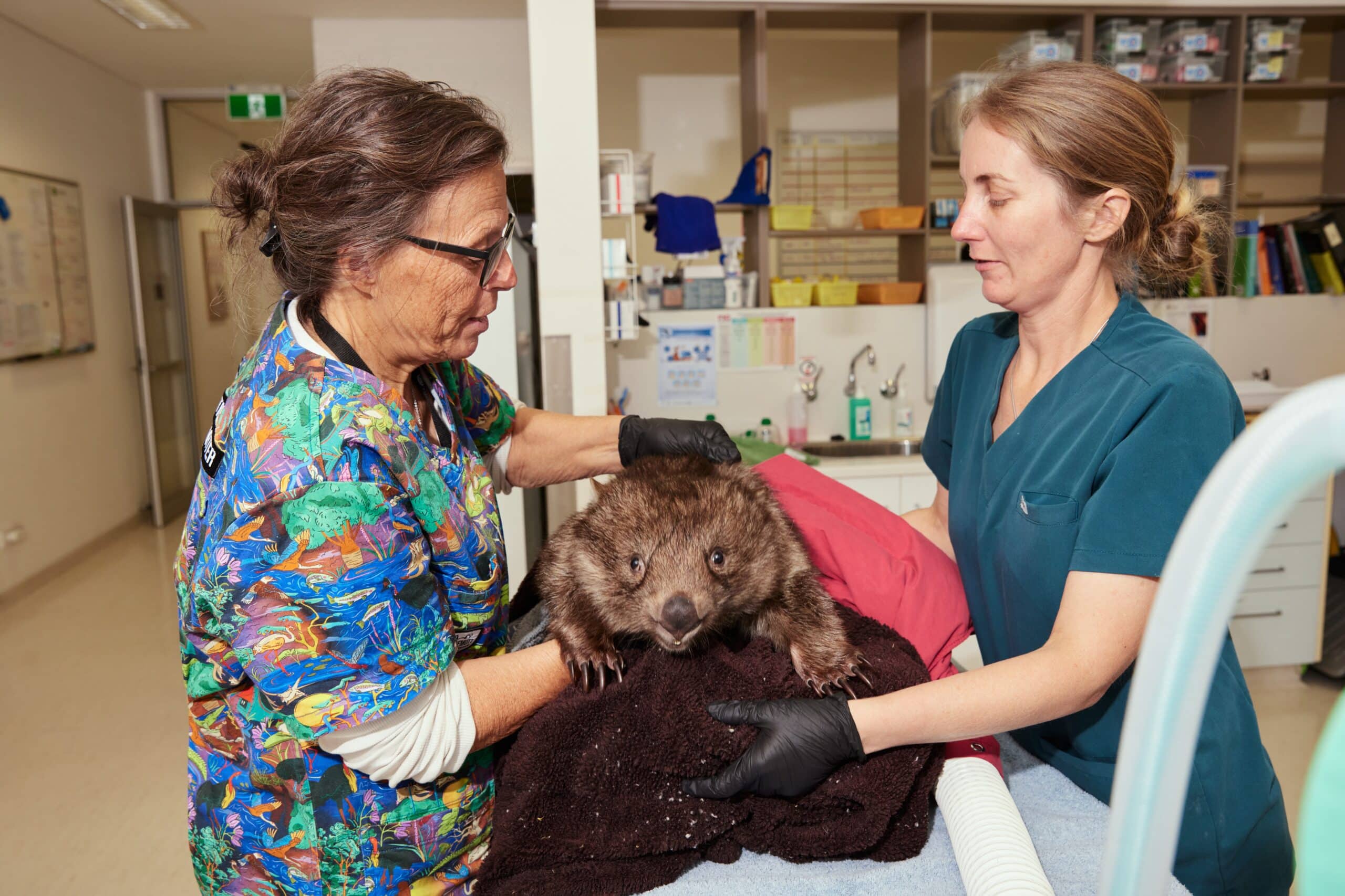 Conservation Biology - Australian Veterinary Association